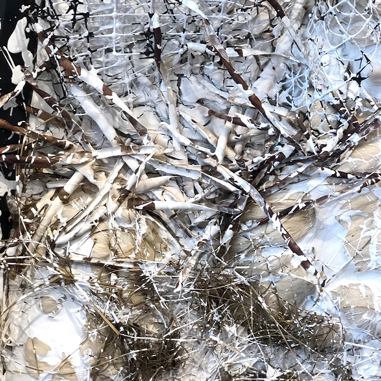 Trace Barnett - Carnegie Visual Arts Center