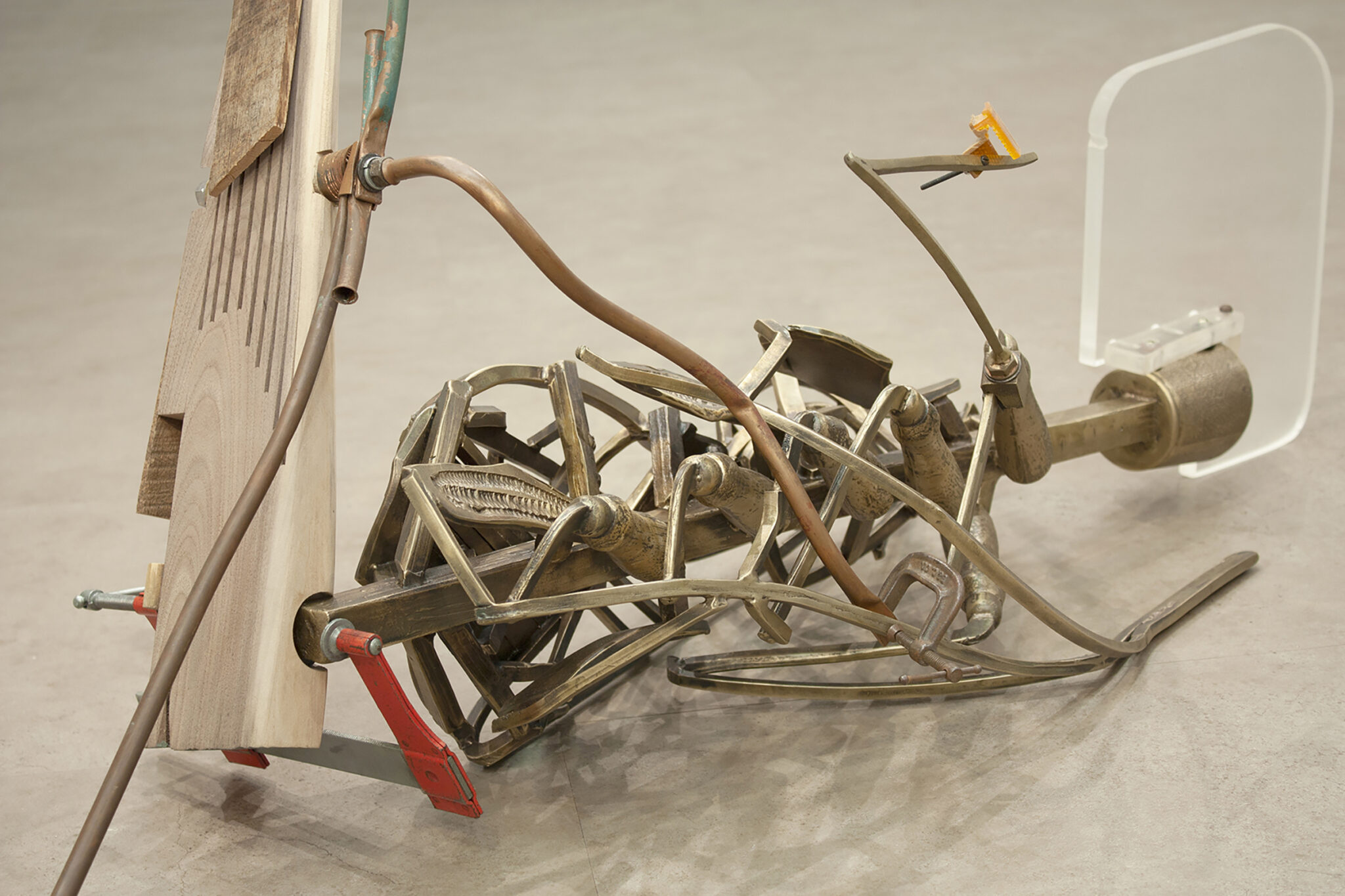 Daisie Hoitsma + Jason Tanner Young: reach - Carnegie Visual Arts Center
